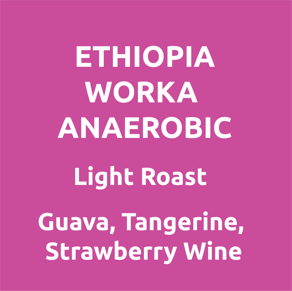 Ethiopia Worka Anaerobic – Royal Mile Coffee Roasters
